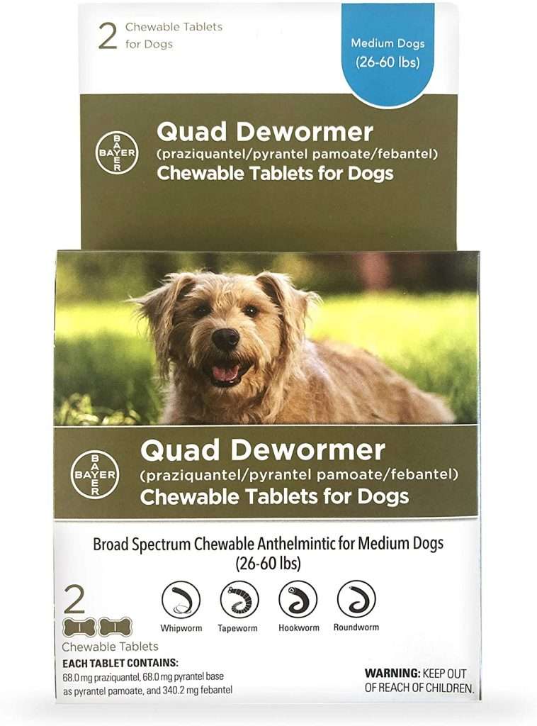 Top 9 of the Best Dog Worm Treatment: Choosing the Right One for Your ...